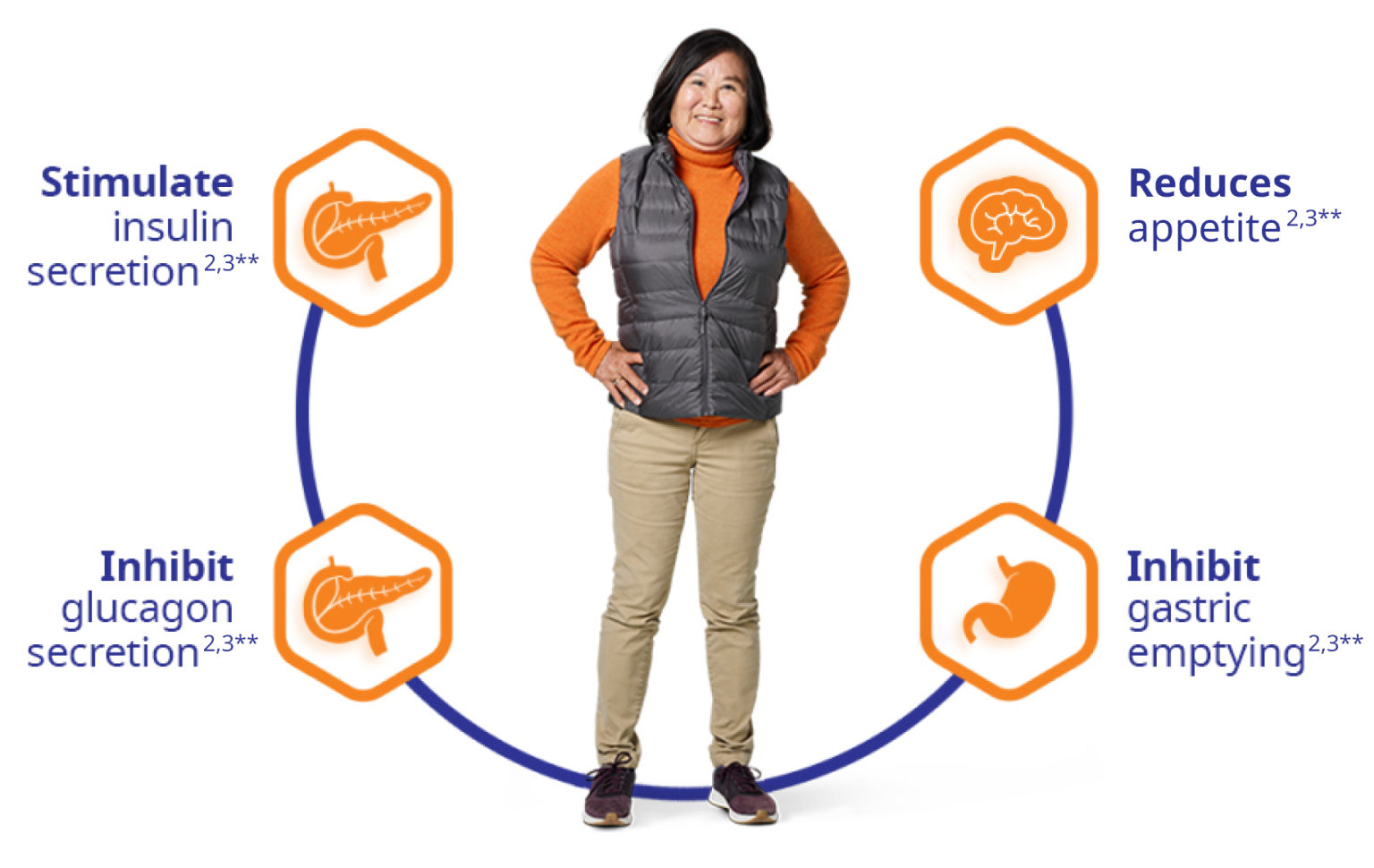 Mechanism of action RYBELSUS® (semaglutide tablets) | Novo Nordisk Portal